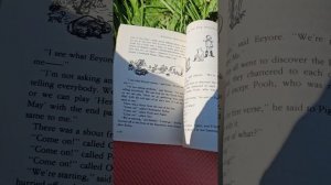 Почти не обращалась к словарю пока читала.