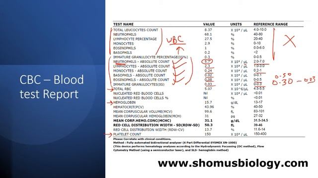 Complete blood count or CBC test normal range - смотреть видео онлайн ...