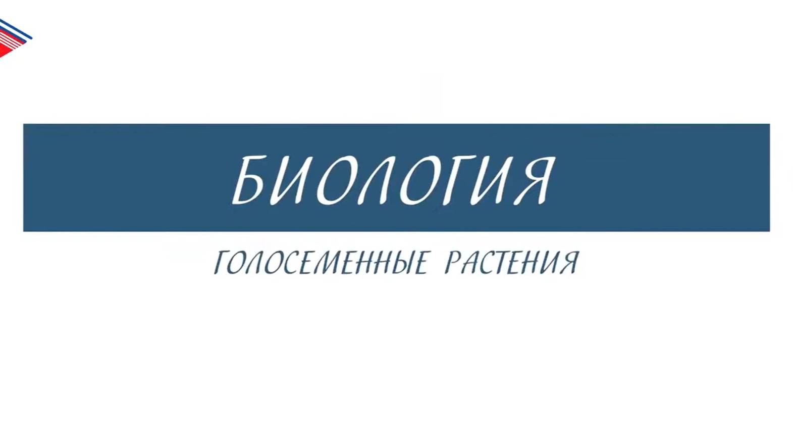 6 класс - Биология - Голосеменные растения