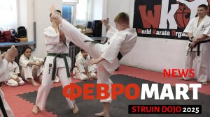 Каратэ & Капоэйра: показательные выступления STRUIN DOJO-Февромарт!