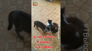 Для тех кто соскучился за Солнышком!