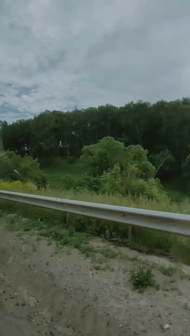 Дорога в Спасское-Лутовиново. На пути в автокемпинг "Отцы и дети"