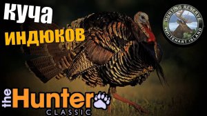 The Hunter Classic: Stealth Hunting - Скрытная Охота в Прямом Эфире! LIVE #3