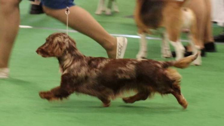 такса УДИВИТЕЛЬНАЯ УДАЧА ИЗ СТРАНЫ ГРЁЗ -- 15.03.2025