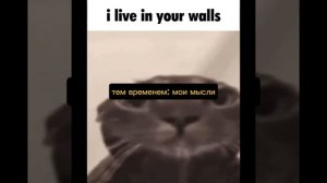 Я думаю над задачкой но...