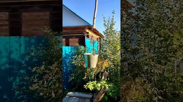 Колодец Журавль Много ли их осталось в деревнях #shorts
