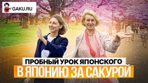 Обучение в Японии. Пробный урок японского языка на тему "Сакура".