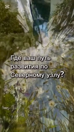 Сказка — отражение жизни