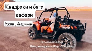 Обзор экскурсии : сафари на квадриках и багах в пустыне. Ужин у бедуинов