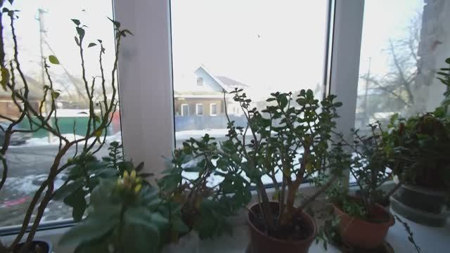 Ленинградская 4-3