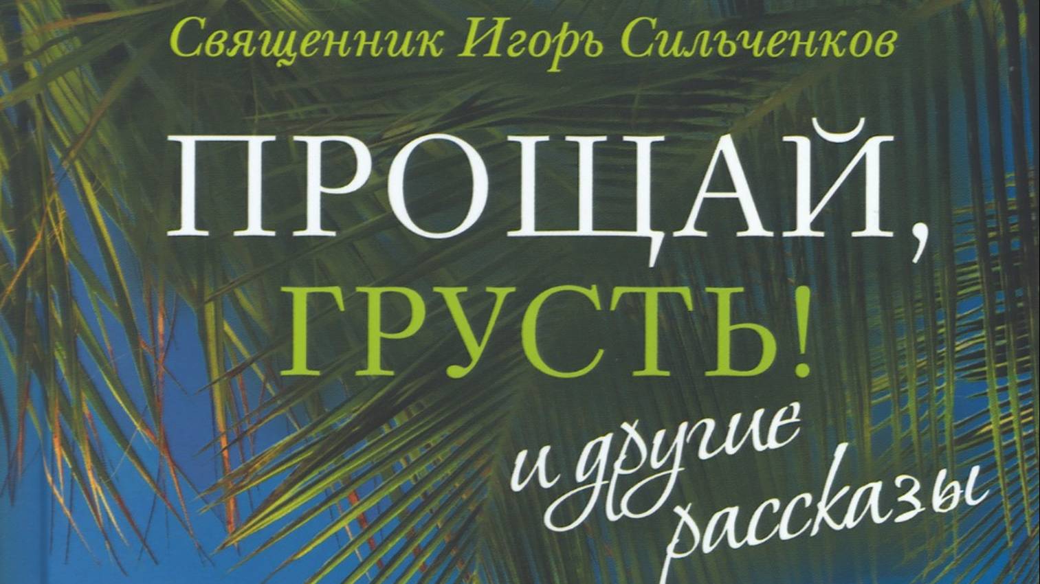 У книжной полки. Священник Игорь Сильченков. «Прощай, грусть!» и другие рассказы.