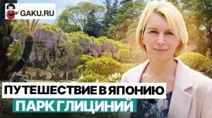 Поездка в Японию. Парк "Остров быков".
