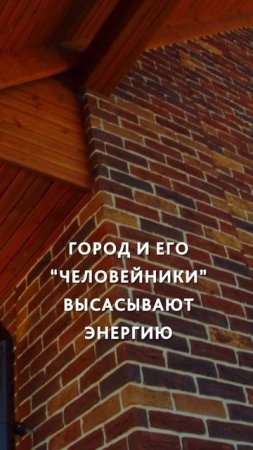 Отзыв о загородной жизни
