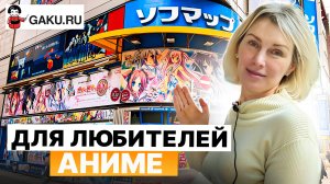 Обучение в Японии. Учим японский по аниме и не только!