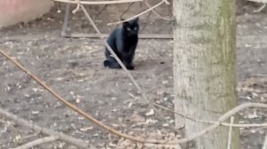 всем привет