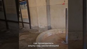 Варили мыло из людей: жуткие истории концлагеря Штуттгоф до сих пор наводят ужас