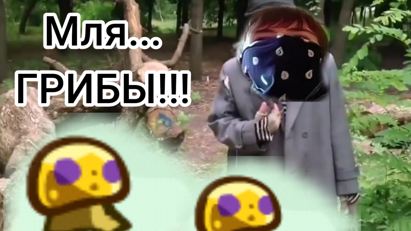 I.m come back и грибы? Кимдом раш оринджис
