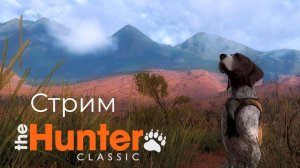 The Hunter Classic: Stealth Hunting - Скрытная Охота в Прямом Эфире! LIVE #6