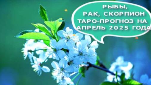 РЫБЫ,РАК,СКОРПИОН ТАРО-ПРОГНОЗ НА АПРЕЛЬ 2025 ГОДА