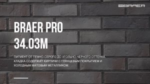 BRAER PRO 34.03M. Цветная кладочная смесь BRAER FL75, Графитово-черная