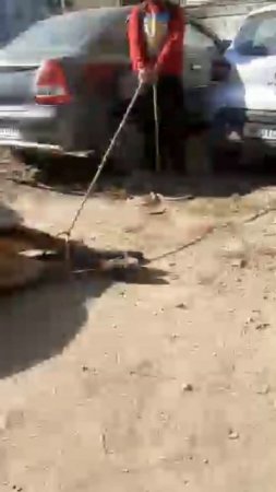 Animal rescue || Himachal Pradesh || animal treatment,abandoned animals
