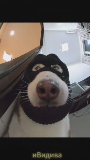 Крутая подборка 😎