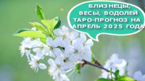 БЛИЗНЕЦЫ, ВЕСЫ, ВОДОЛЕЙ ТАРО ПРОГНОЗ НА АПРЕЛЬ 2025 ГОДА