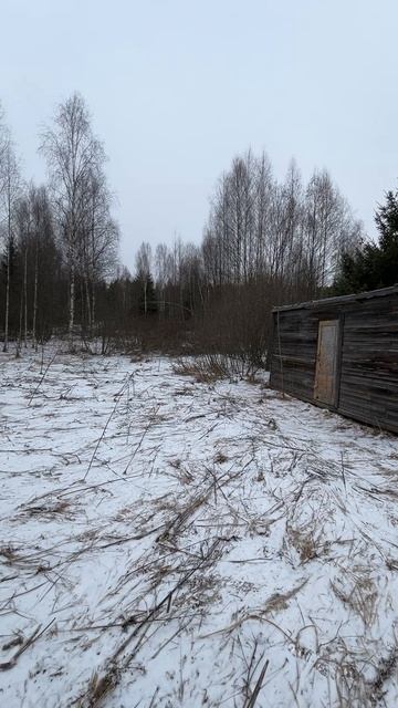 Участок 25 соток в деревне Пречистино,около деревни Редриковы горы, Александровский район