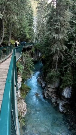 Johnston Canyon