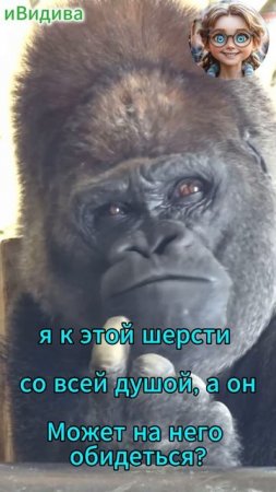 Настоящая дружба  😂