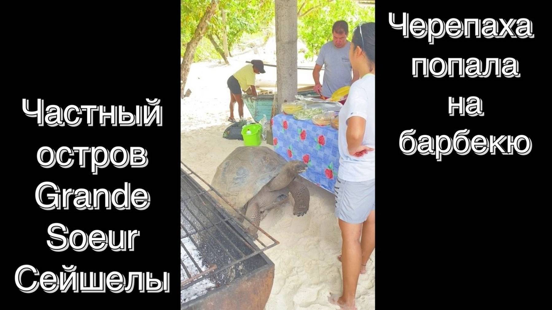 Черепаха попала на барбекю на частном острове! Остров Grande Soeur. Сейшелы.