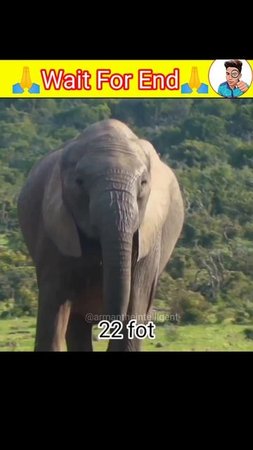 😮 3 monstrous creatures😮 #shorts #youtubeshorts #vairalvideo #monster
