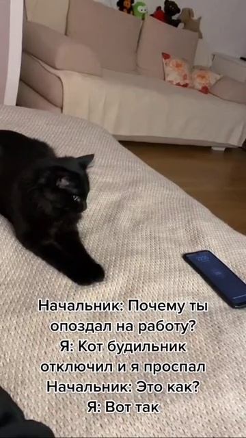 будильник