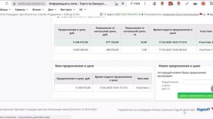 Видео реальных торгов по банкротству электронный аукцион по покупке квартиры