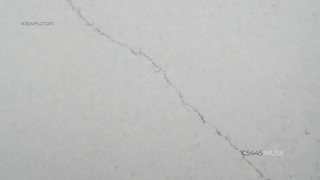 Кварцевый камень C5445 Muse STRATOS