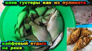 ГУСТЕРА клюет как из ПУЛИМЕТА. Рыбалка в Астрахани в селе 2025