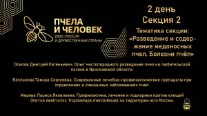 Пчела и Человек 2025. 2 секция. Докладчики: Д.Е.Осипов, Т.С.Беспалова, Л.Я.Морева.