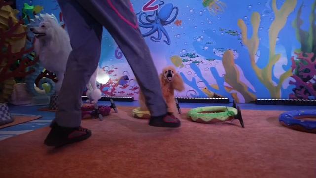 Номер с 2 пуделями