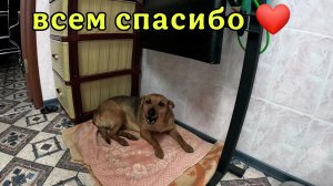 Мы все МОЛОДЦЫ - сбор ЗАКРЫТ / С Мира по нитке... / Большое спасибо ♥️