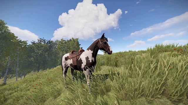 Крупный план лошади в Rust, фыркающей в траве