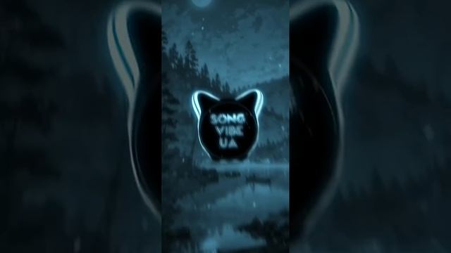song.vibe.ua_2025-03-07-11-58-19_1741337899227.mp4