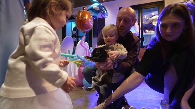 Выездной зоопарк 2