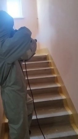 video_2025-03-17_13-31-29