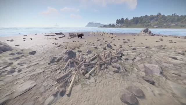 Поведение медведя в Rust, дикая природа в действии