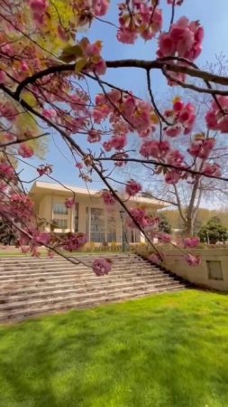 🌸 Весна во дворце Ниаваран в Тегеране , Иран