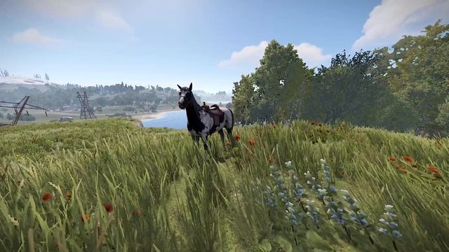 Лошадь в Rust с цветами и морем на фоне