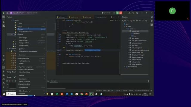 Основы разработки REST API с использованием фреймворков (17.03.2025) - часть 2