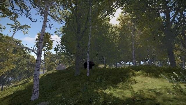 Встреча с медведем в лесу Rust, опасный момент