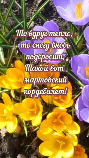 Доброе мартовское утро!🌷#весна#пожелания#доброеутро#shorts