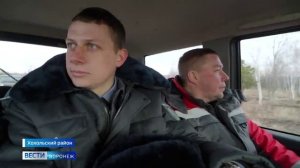 Как следят за численностью кабанов в Воронежской области